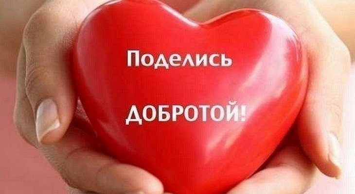 День доброты в 2026 году: какого числа, история, традиции, мероприятия